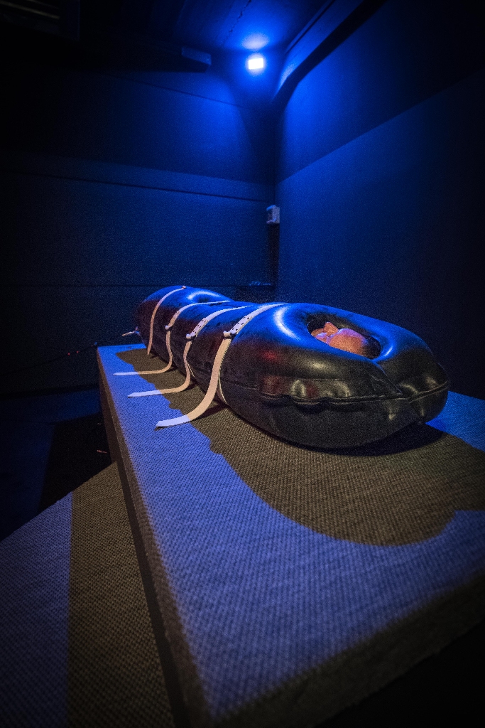 Highlights – LatexLounge